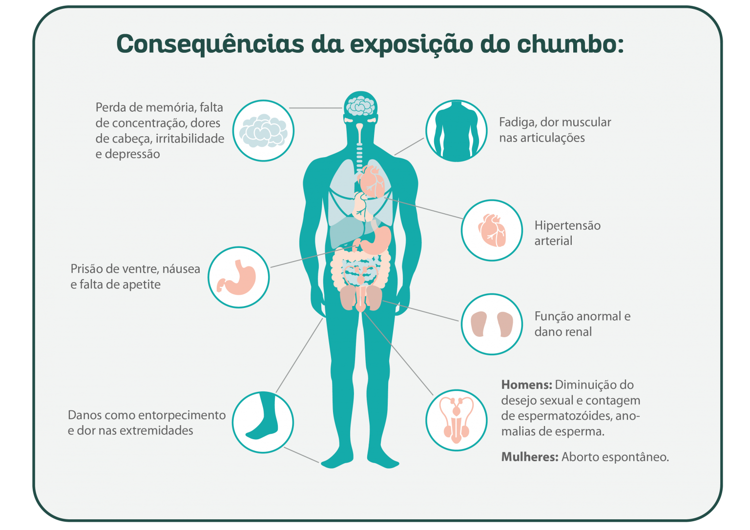 Toxicologia Ocupacional: redução de mortes de intoxicação por produtos ...