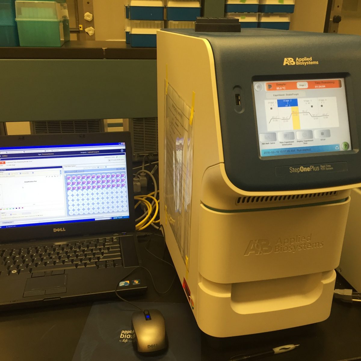 MOBIUS Life Science fornece eficiência e rapidez no diagnóstico ...