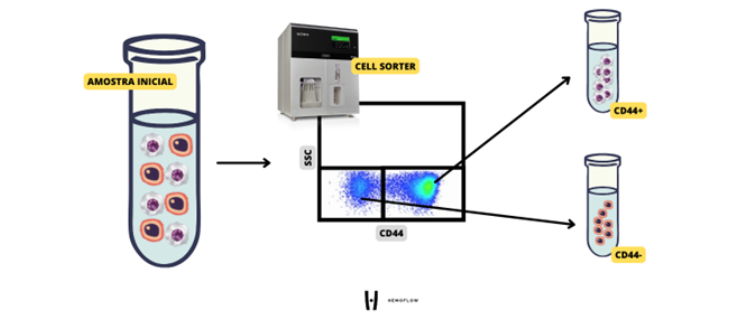 Você sabe o que é Cell Sorting? | Newslab